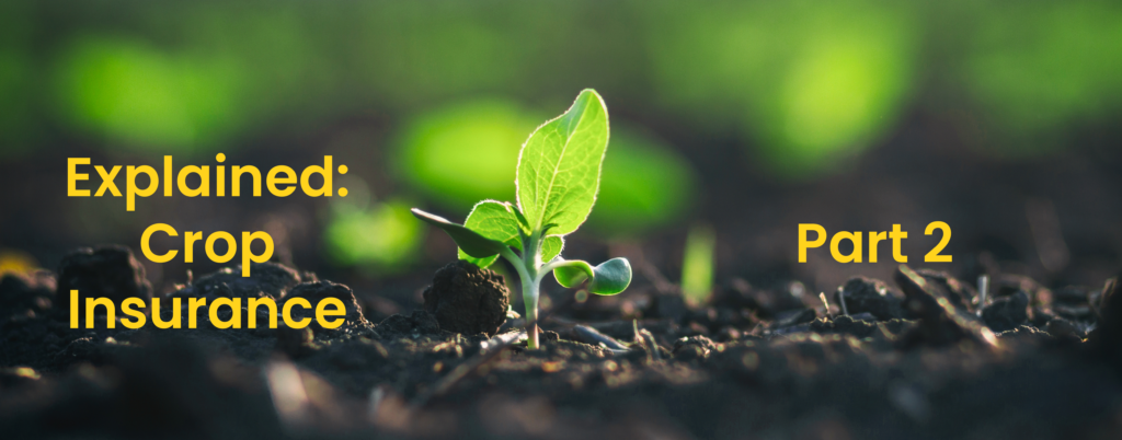 Explained: Crop Insurance Part 2 - AgRisk Advisors